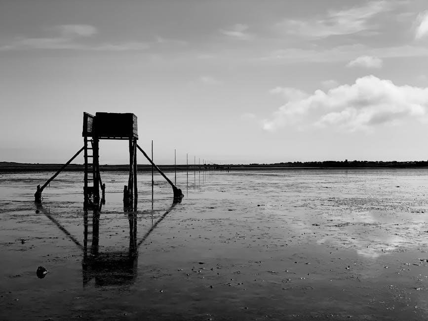 Filthy Rich Werewolves: Dive into Taylor Caine's Dark Romance!